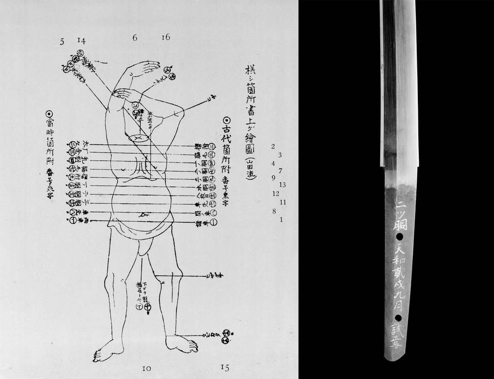 Samurai: Japanese arms & armour · V&A