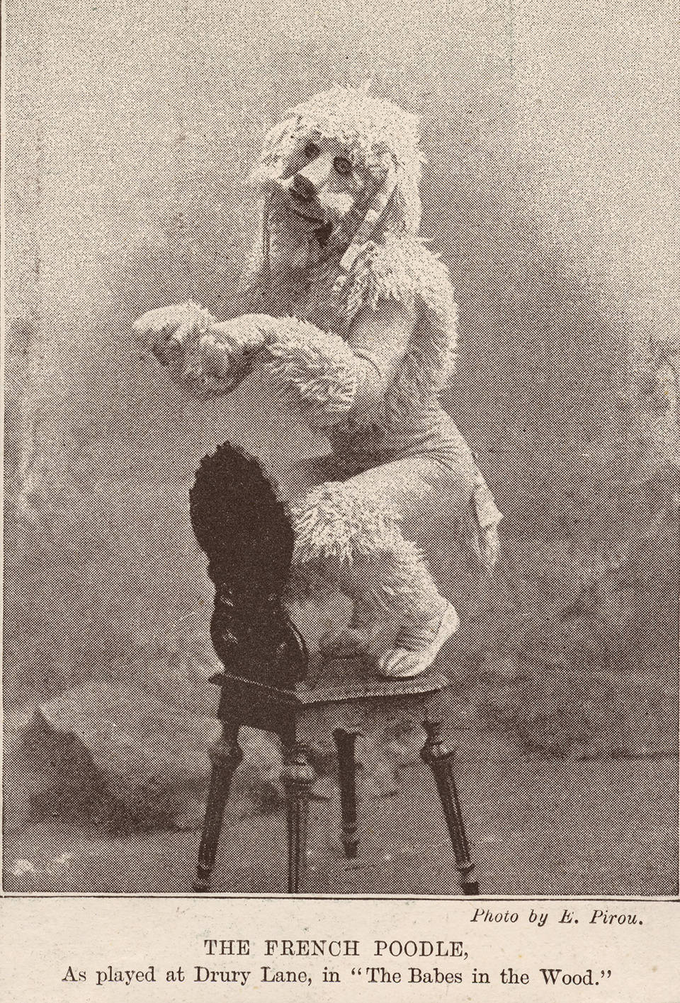 V&A · The Story Of Pantomime