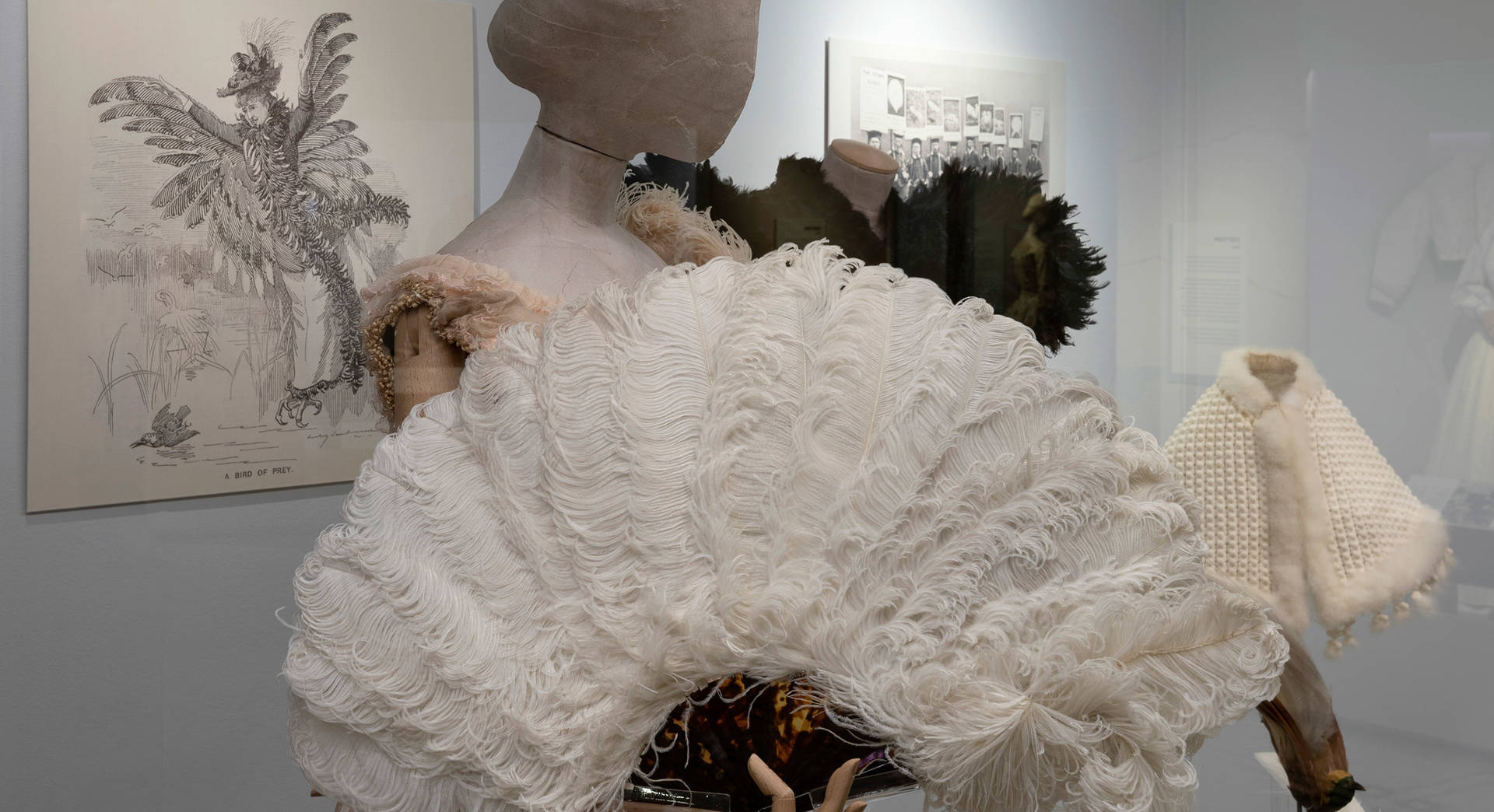 Inside the Fashioned From Nature exhibition · V&A