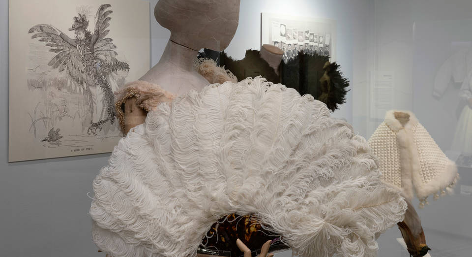 Inside the Fashioned From Nature exhibition · V&A