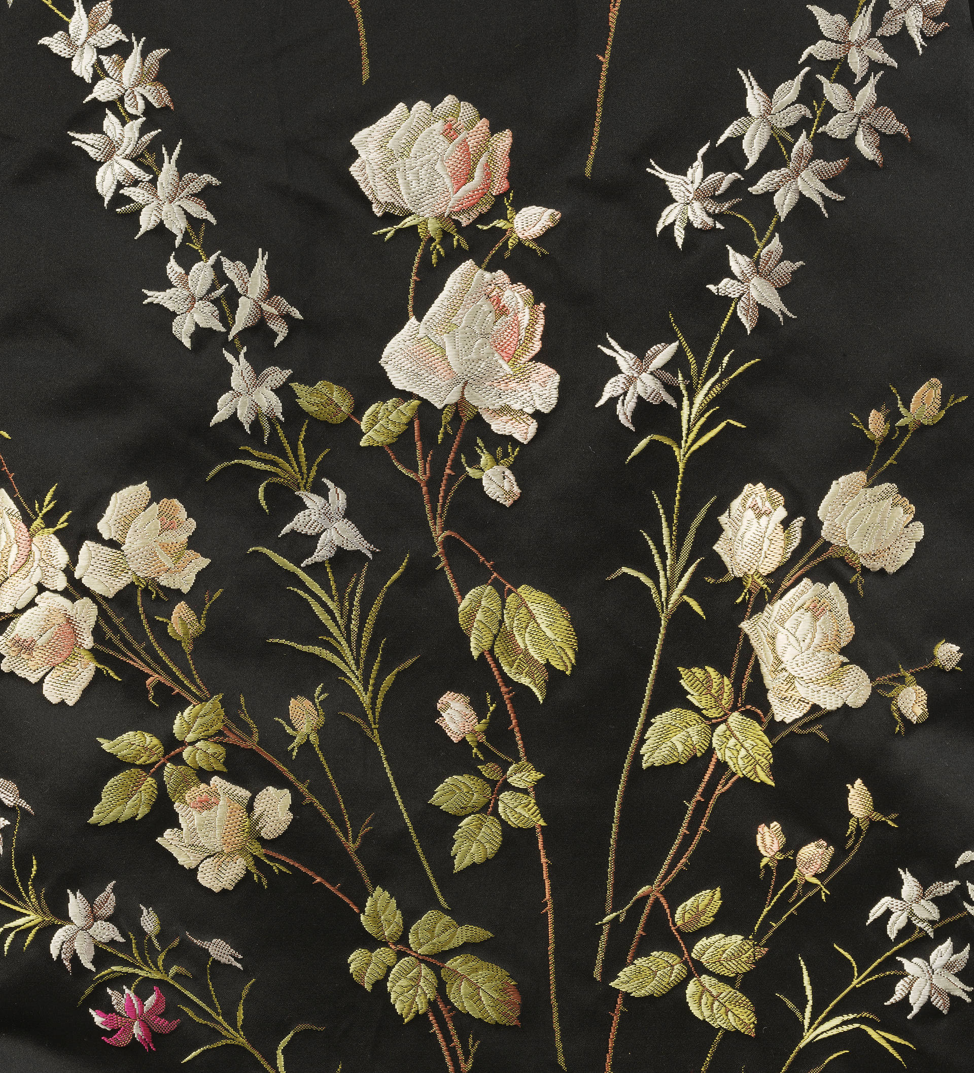 Fashion inspired by the natural world · V&A