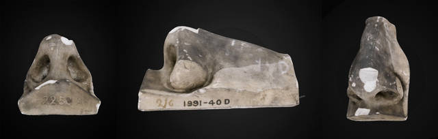 V&A · The Story Of Michelangelo's David