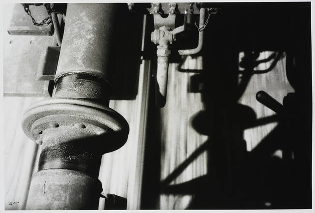 V&A · Ilse Bing – Life And Work