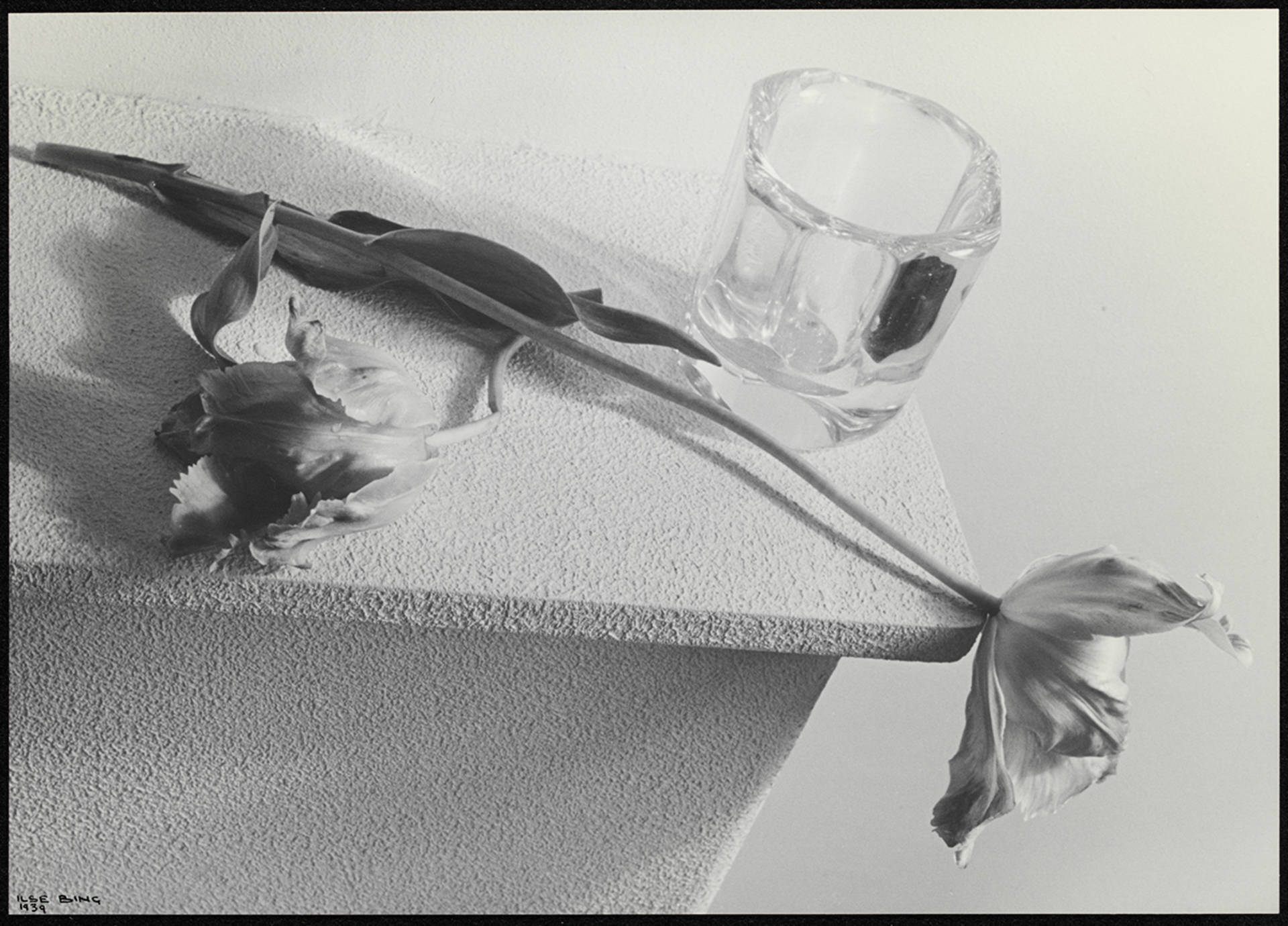 V&A · Ilse Bing – Life And Work