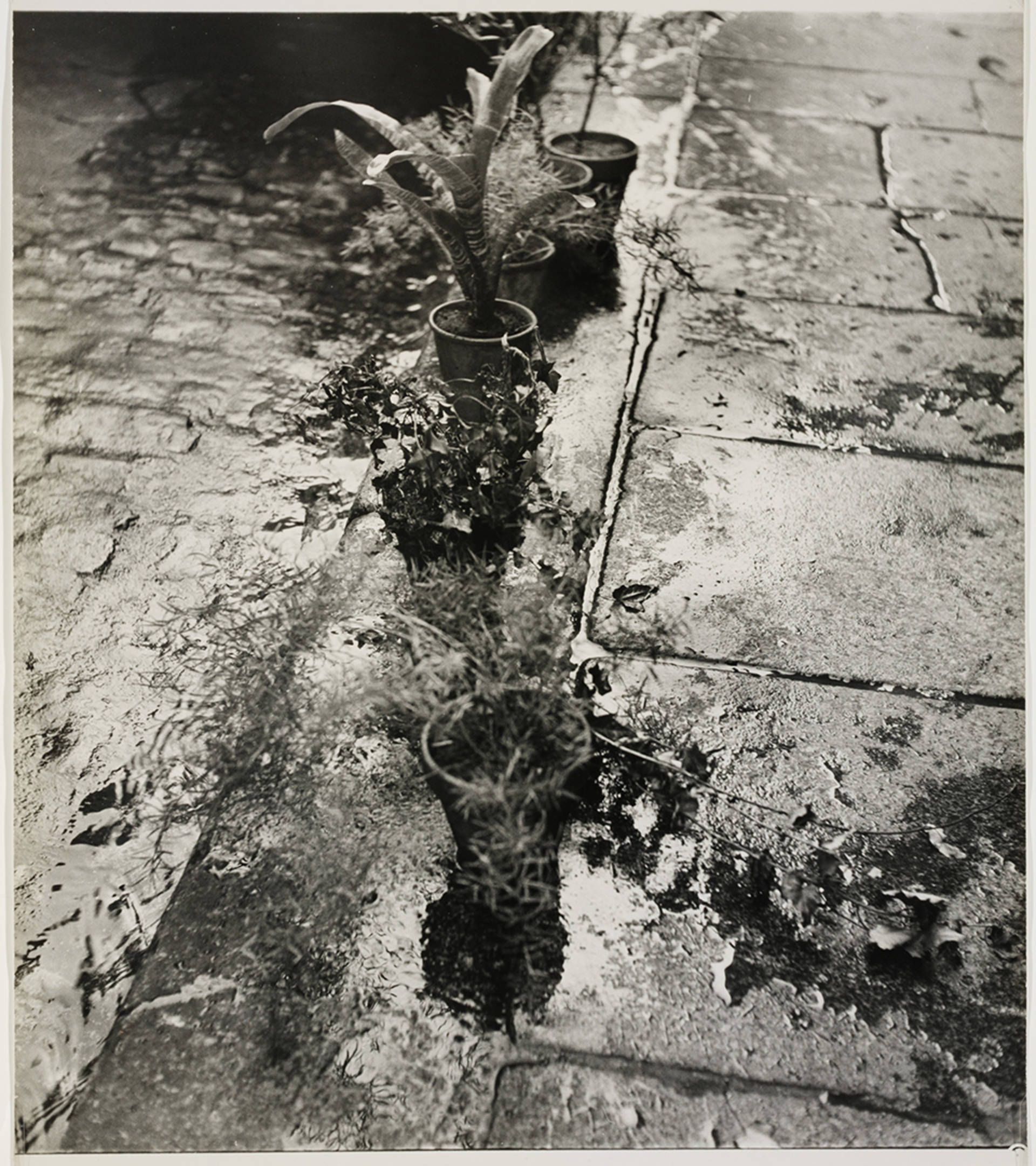 V&A · Ilse Bing – Life And Work