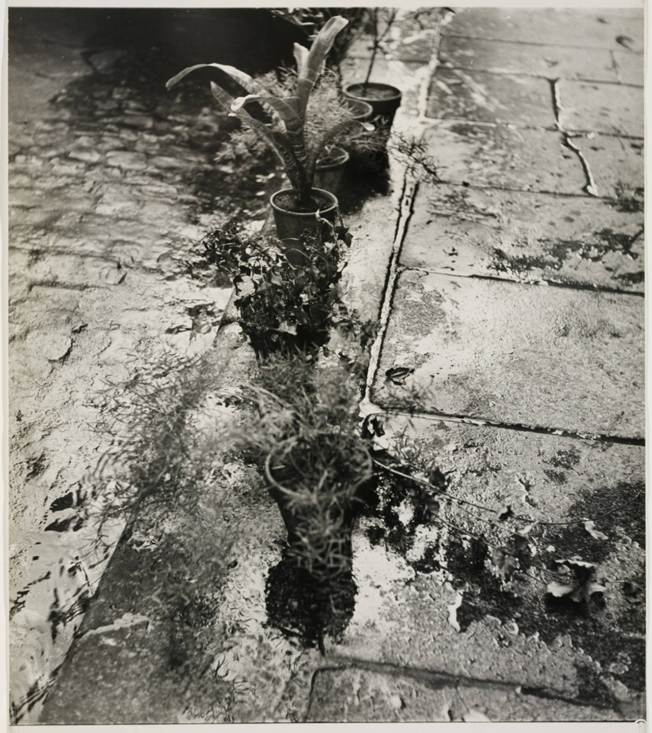 V&A · Ilse Bing – Life And Work