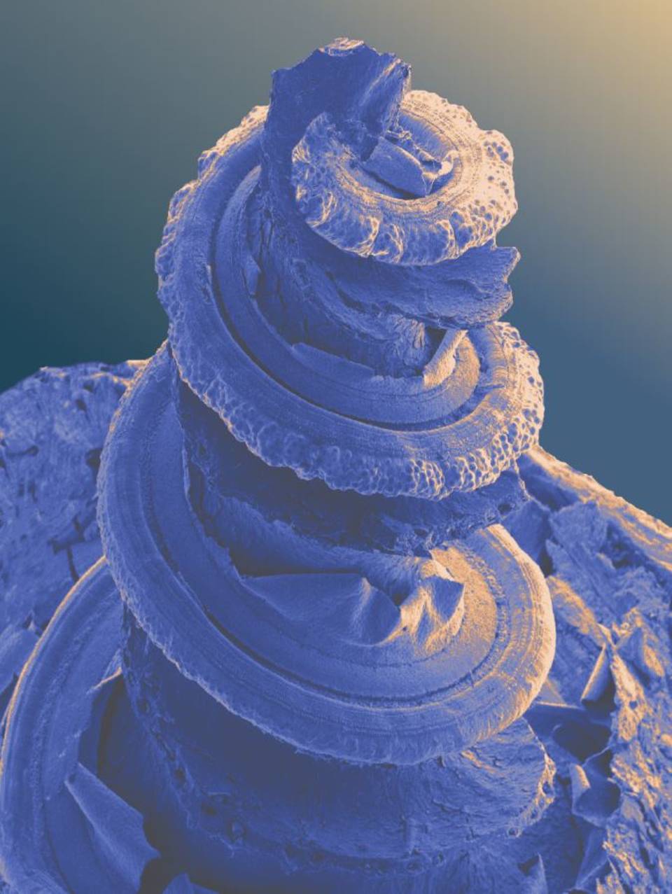 V&A · Tonotopia: Listening through Cochlear Implants