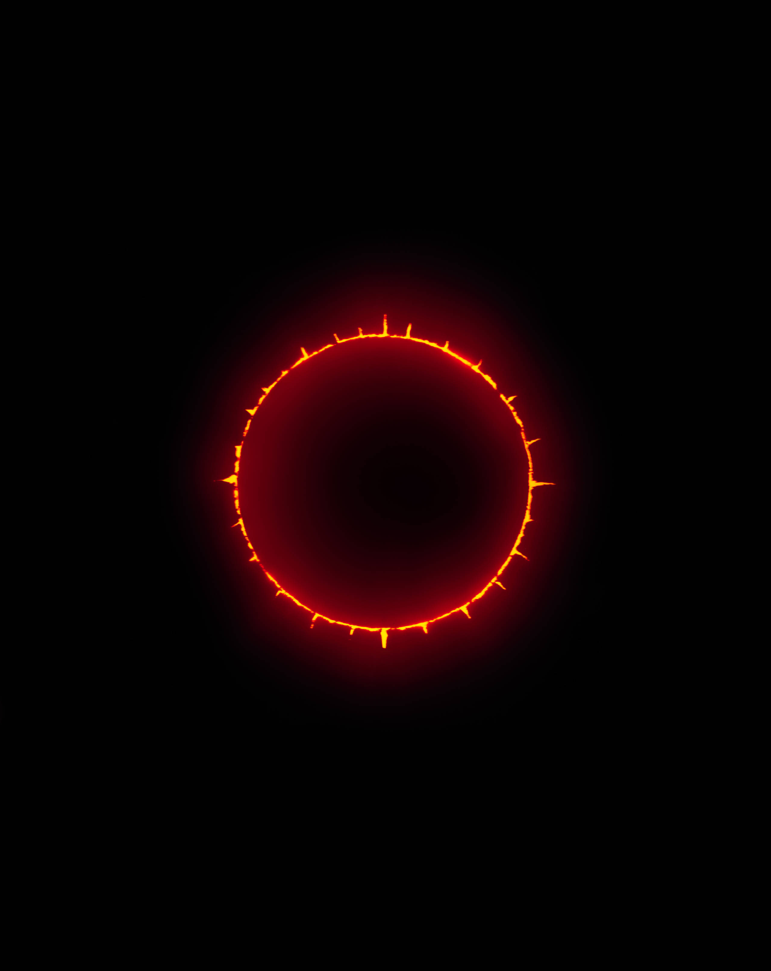 V&A · Photographic Processes