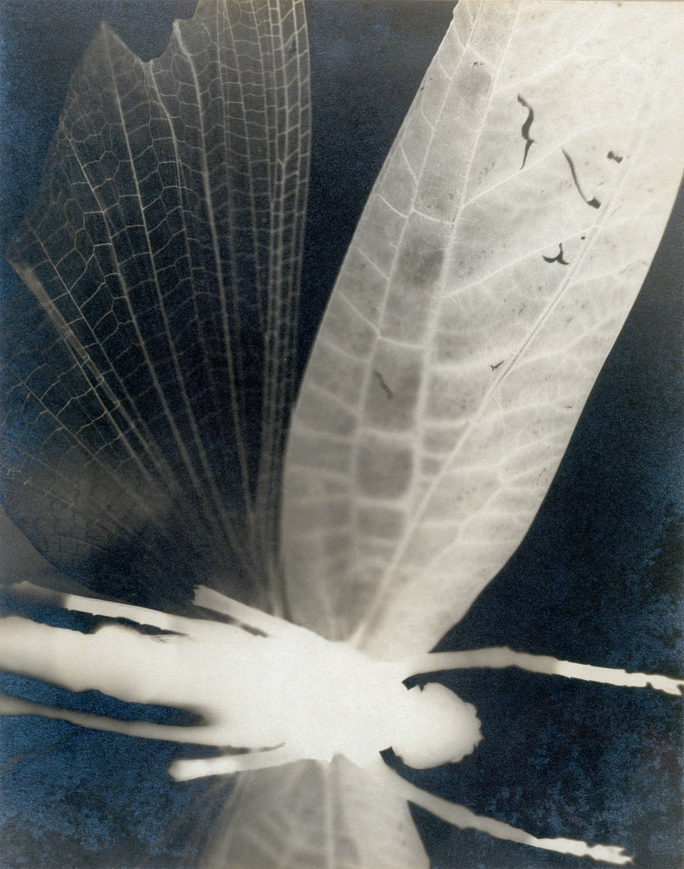 Curtis Moffat Working Methods V A