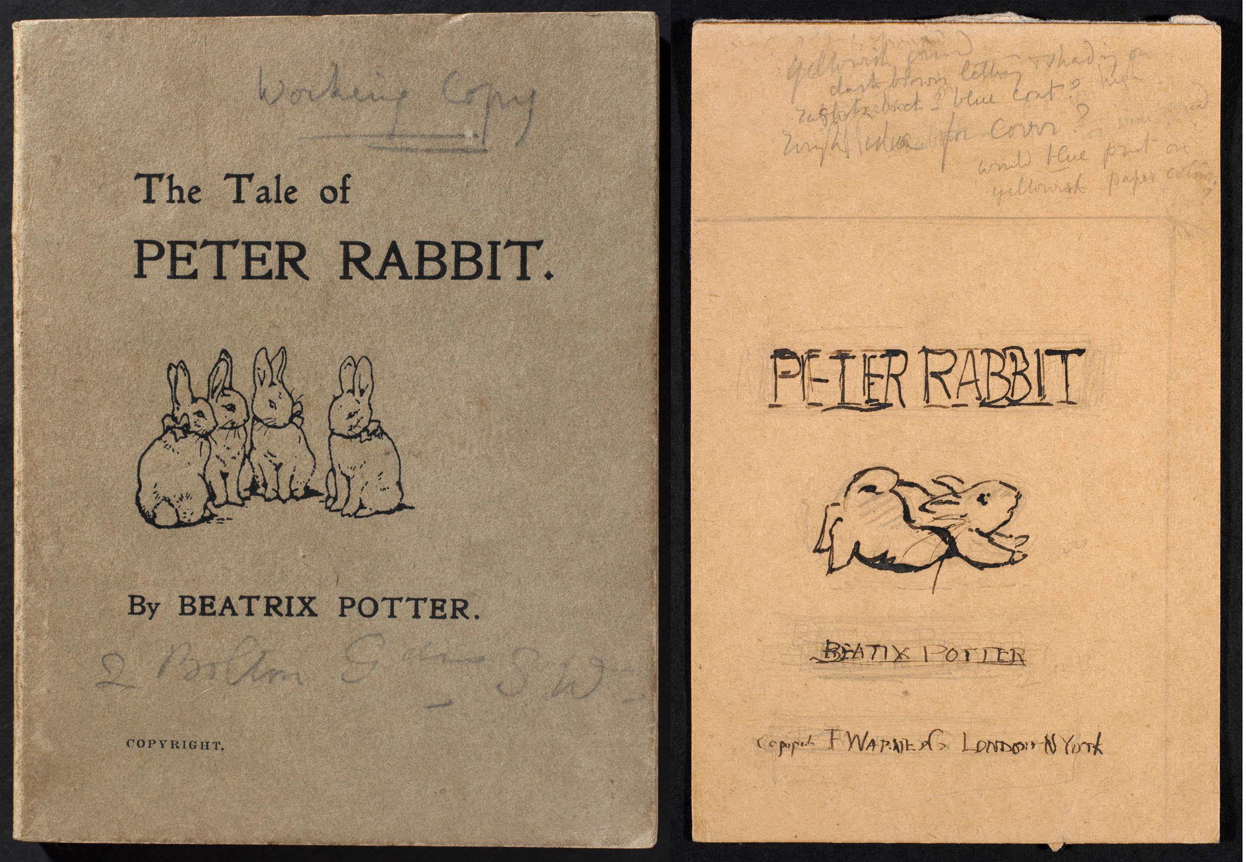 Peter Rabbit: the tale of 'The Tale' · V&A