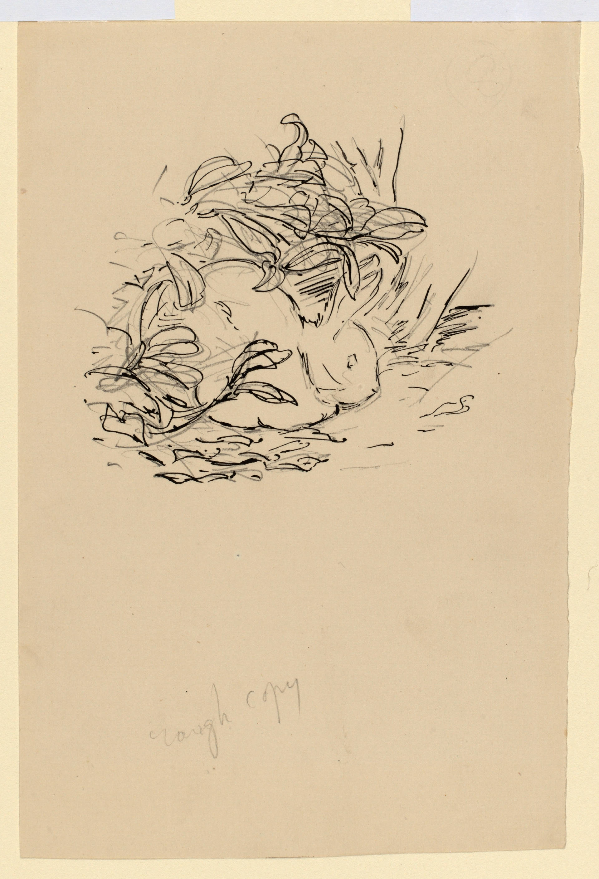 Peter Rabbit: the tale of 'The Tale' · V&A