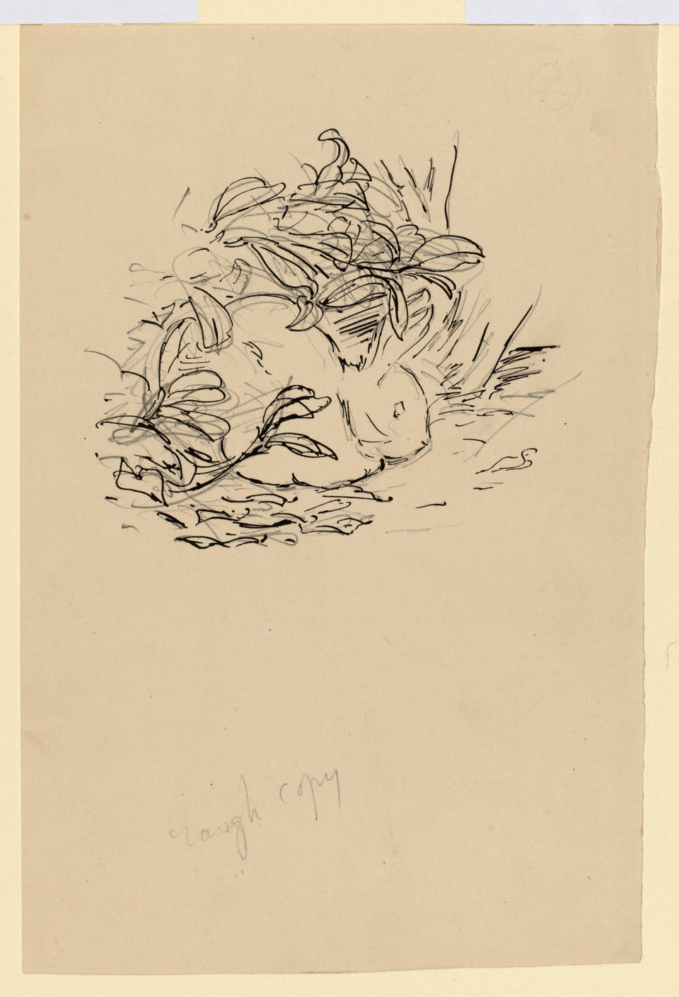 Peter Rabbit: the tale of 'The Tale' · V&A