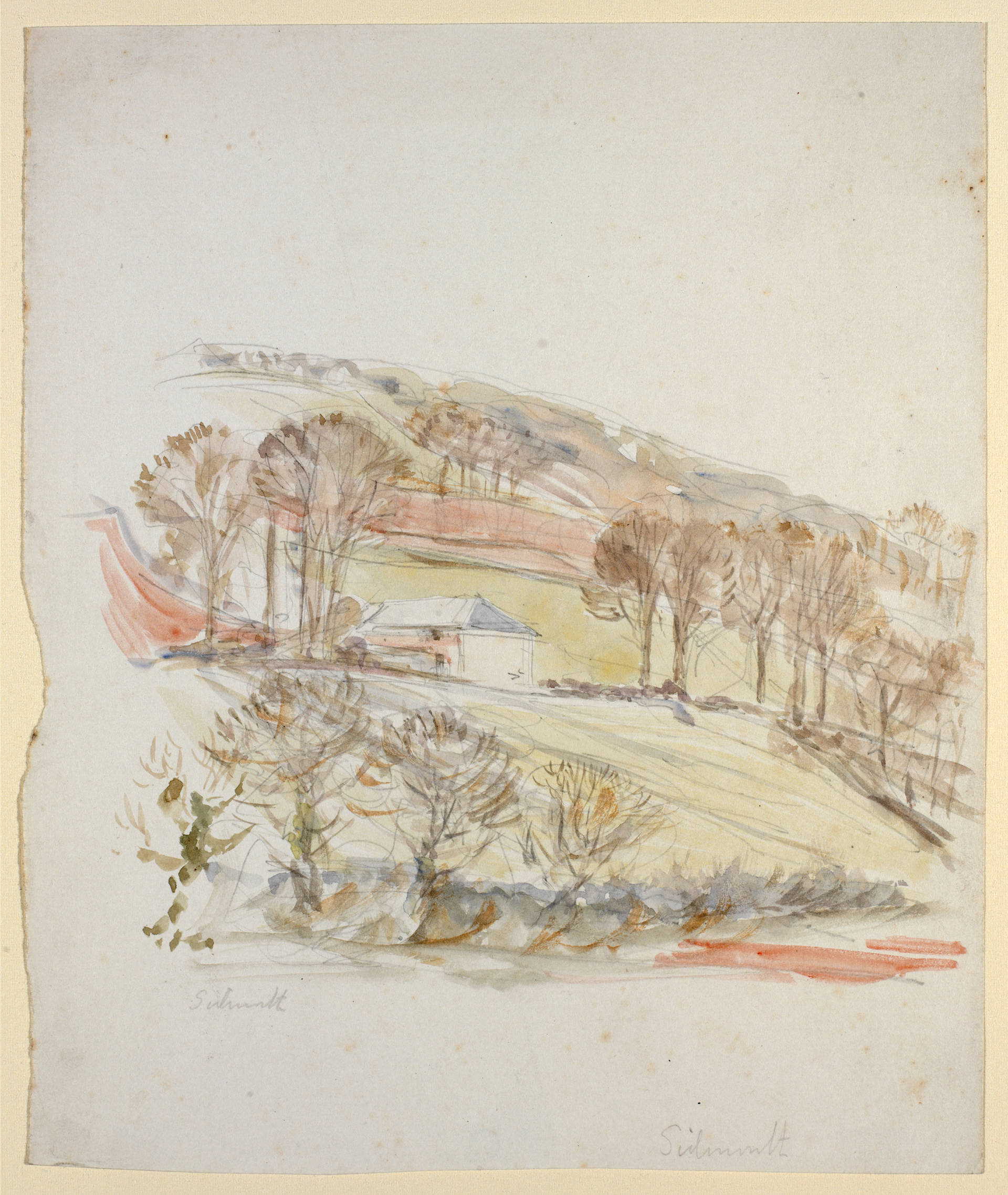 Beatrix Potter's inspirations · V&A