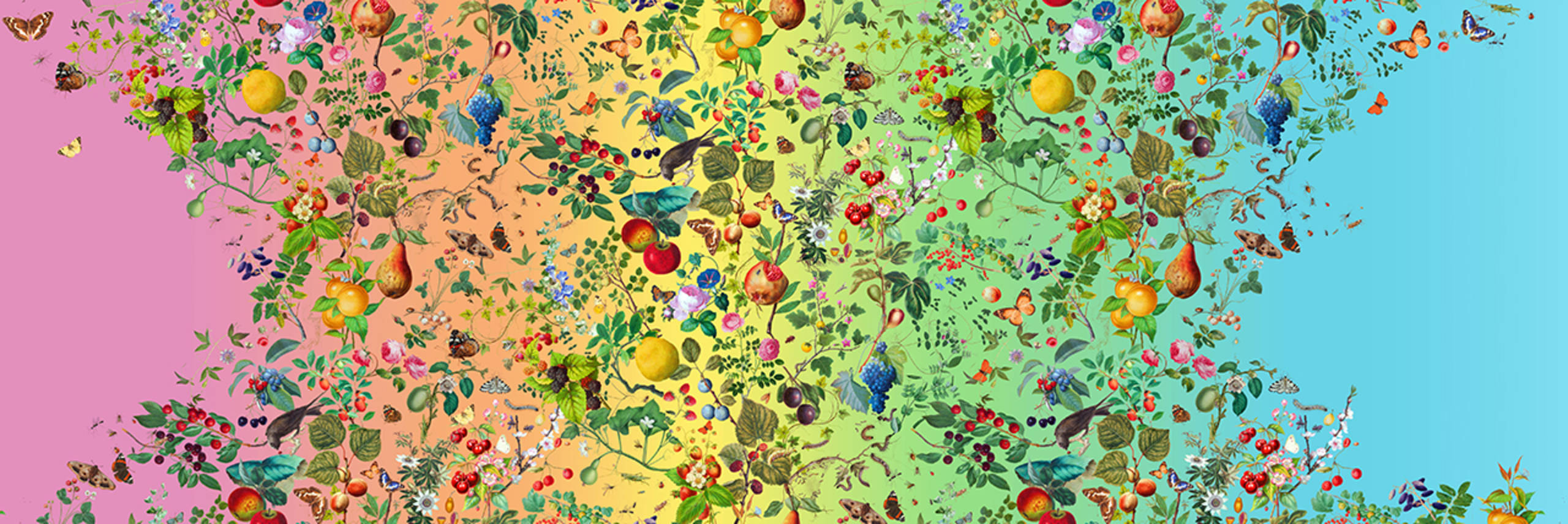 Fallen Fruit at the V&A · V&A