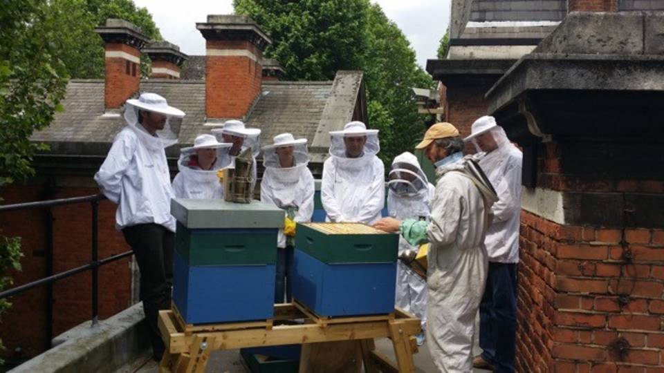 V&A · Introduction To Beekeeping