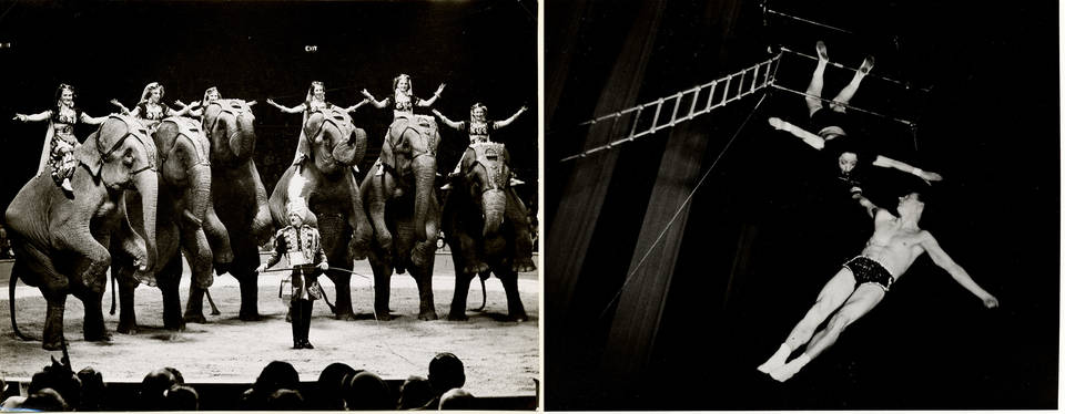 The story of circus · V&A