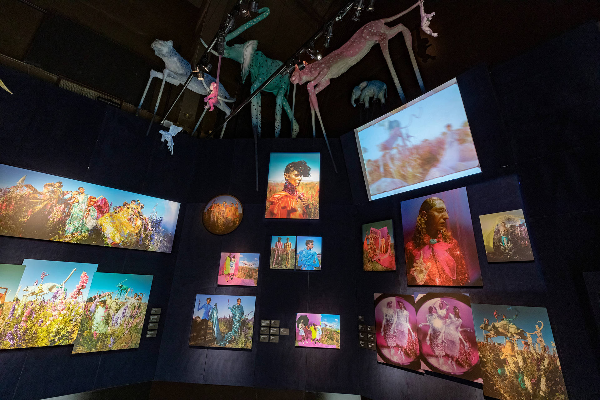 Inside the Tim Walker: Wonderful Things exhibition · V&A