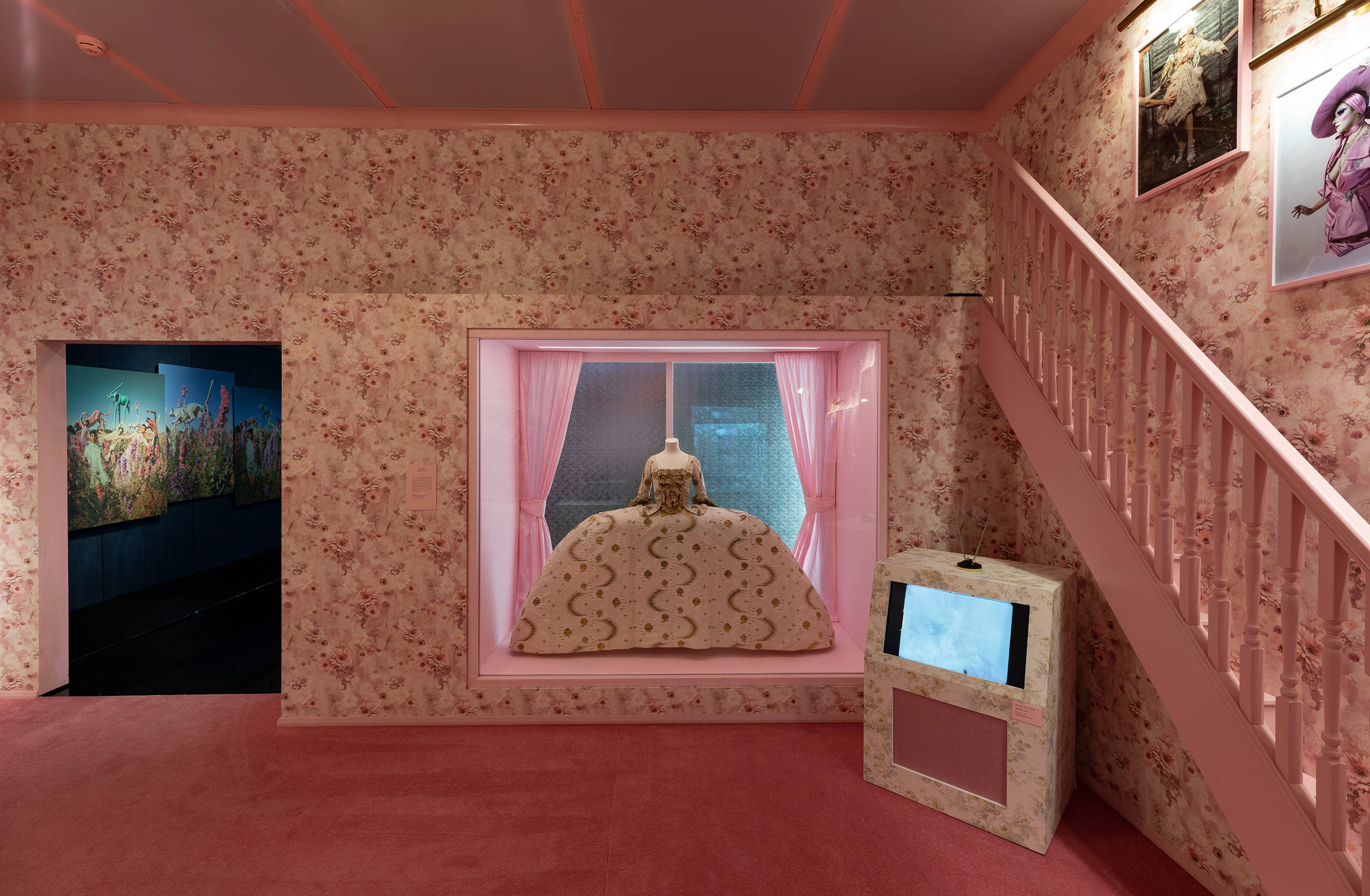 Inside the Tim Walker: Wonderful Things exhibition · V&A