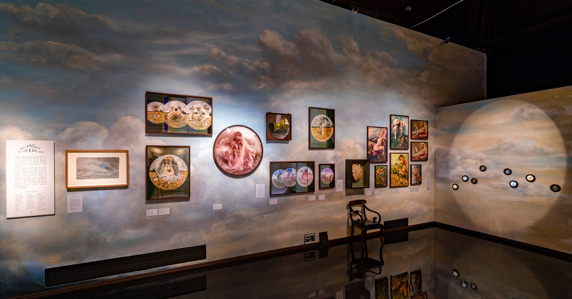 Inside the Tim Walker: Wonderful Things exhibition · V&A