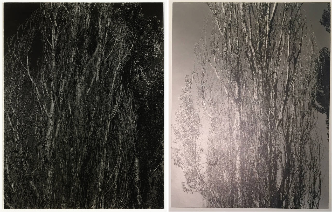 Alfred Stieglitz – pioneer of modern photography · V&A