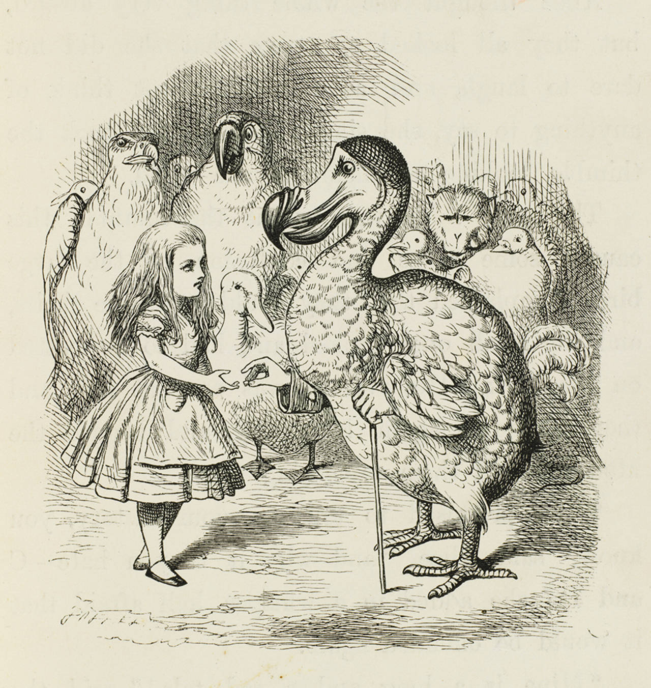 The real Alice in Wonderland · V&A