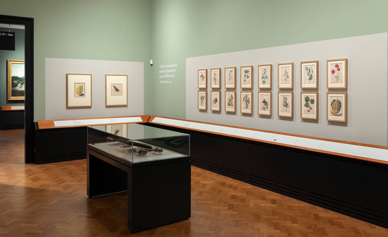 About the Renaissance Watercolours display · V&A