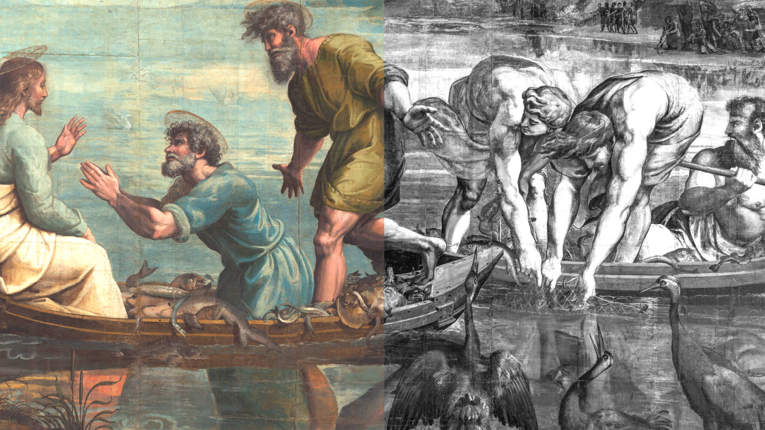 V&A · The Raphael Cartoons