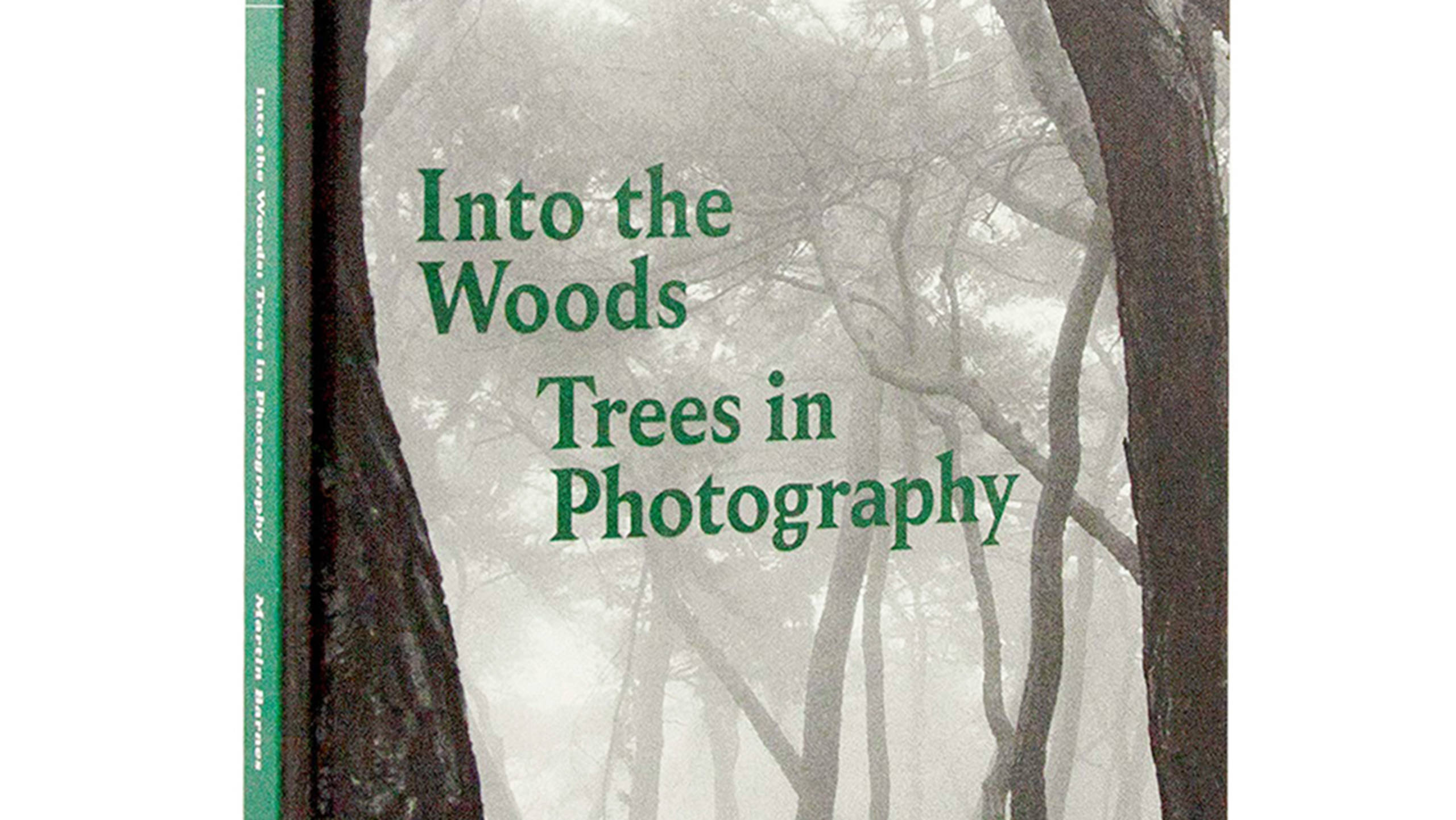 V&A · Into The Woods – About The Display