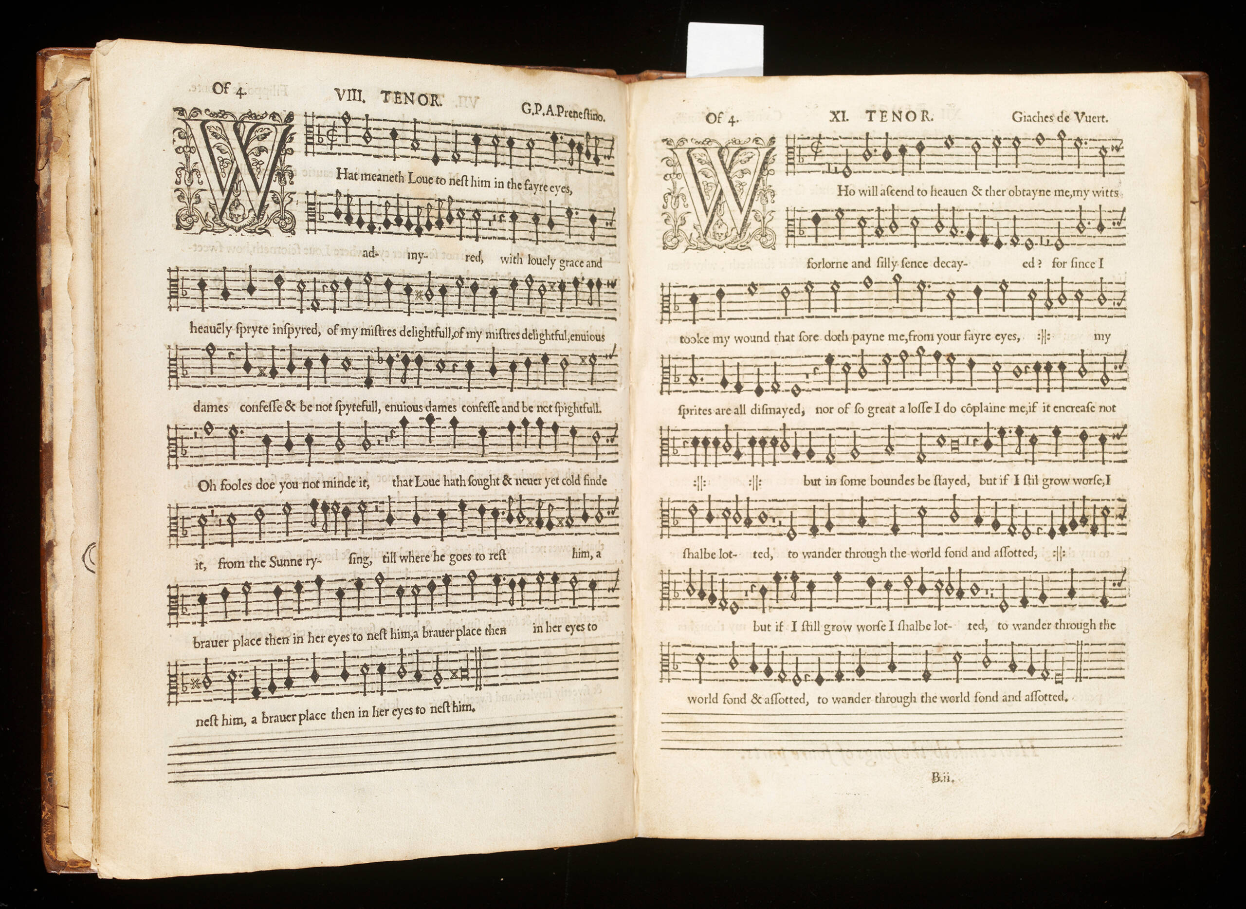 Renaissance music · V&A