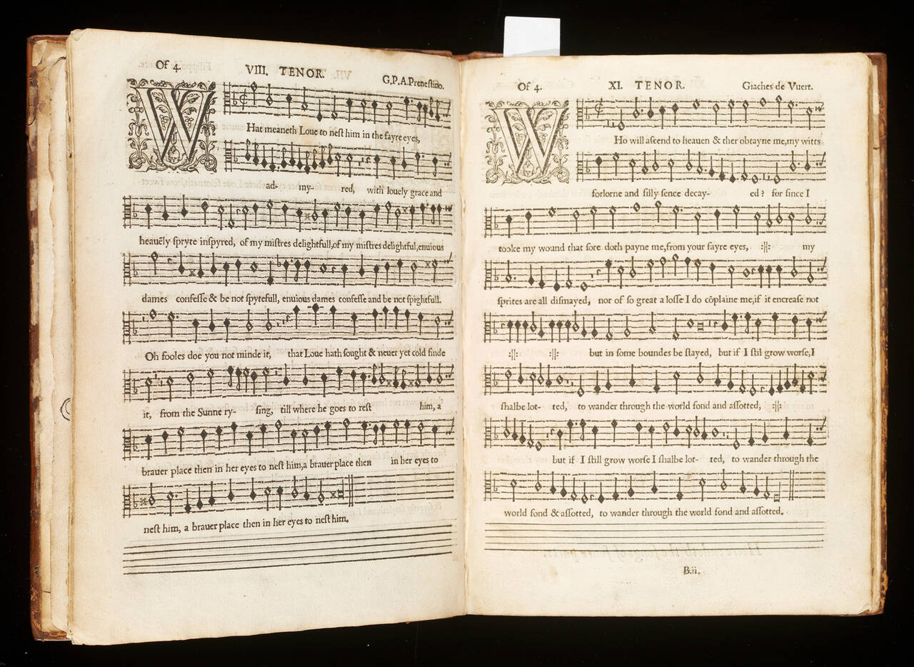 Renaissance music · V&A