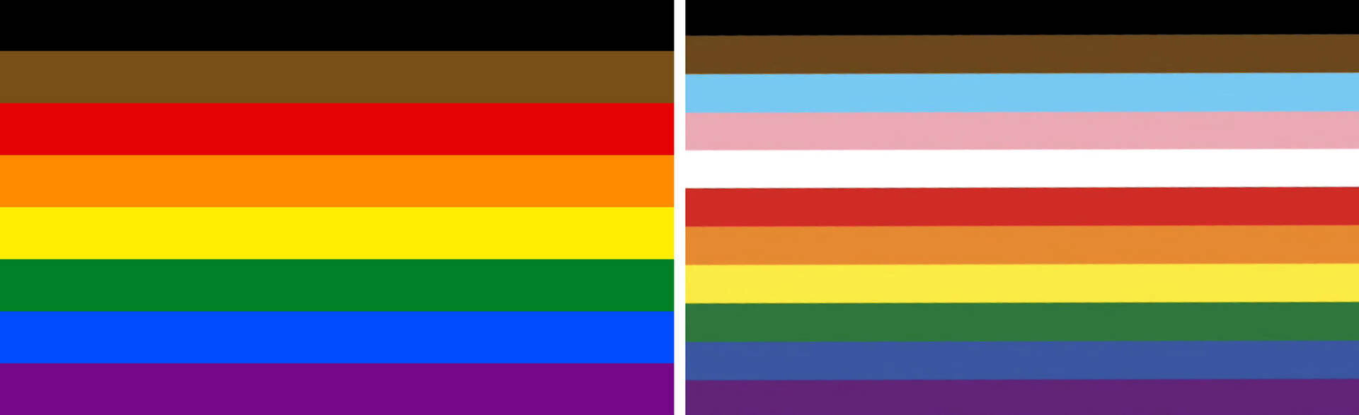 The Progress Pride flag · V&A
