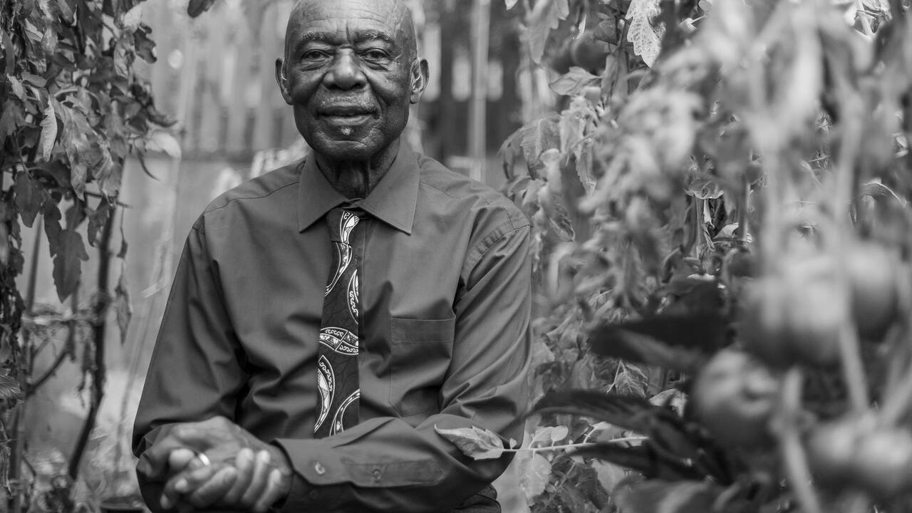 Celebrating Windrush: Tracing a Living Legacy - Display at V&A South ...