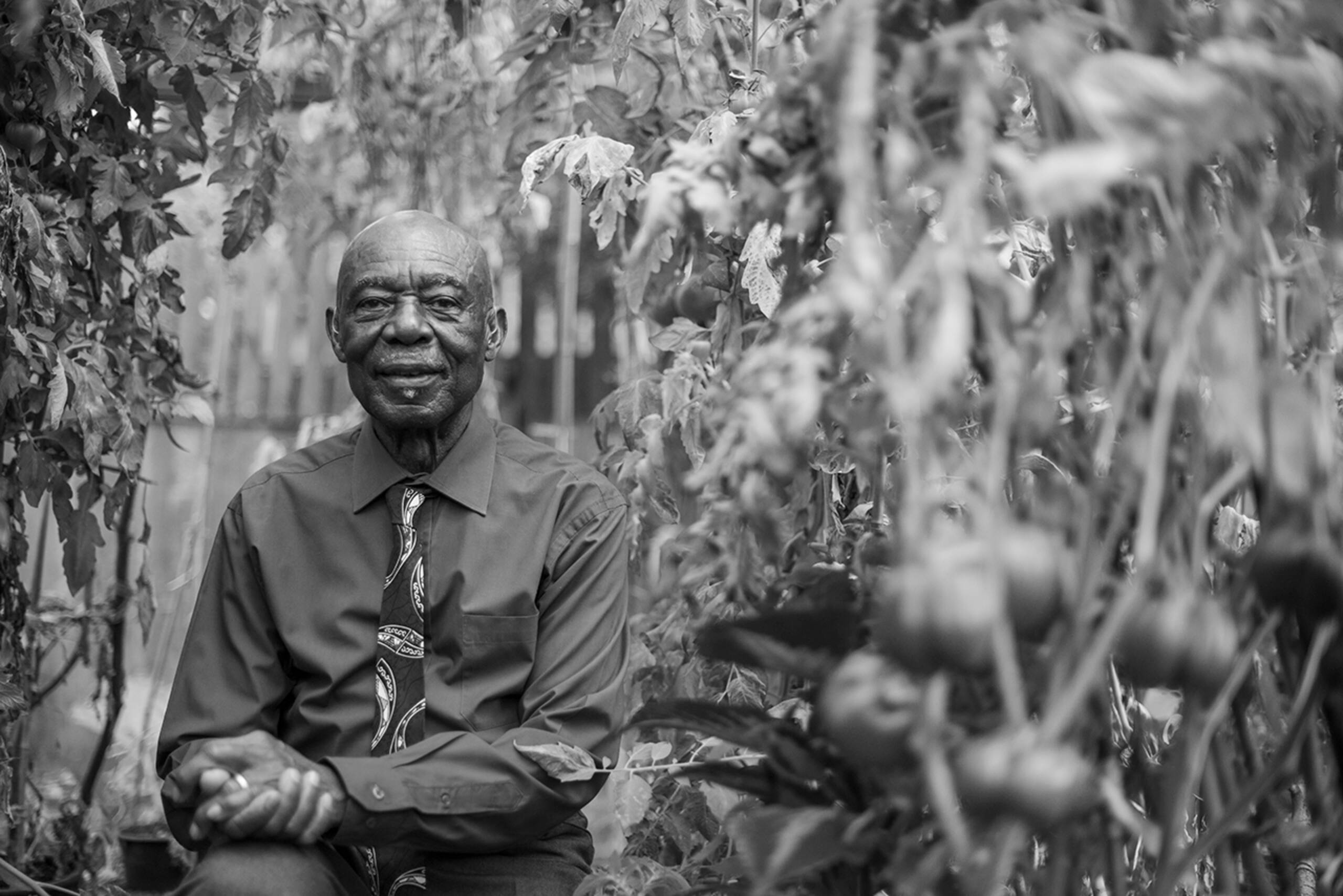Between Two Worlds: Vanley Burke and Francis Williams - Display at V&A ...