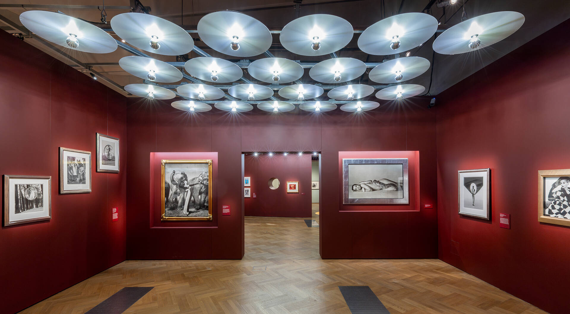 About the Fragile Beauty exhibition · V&A