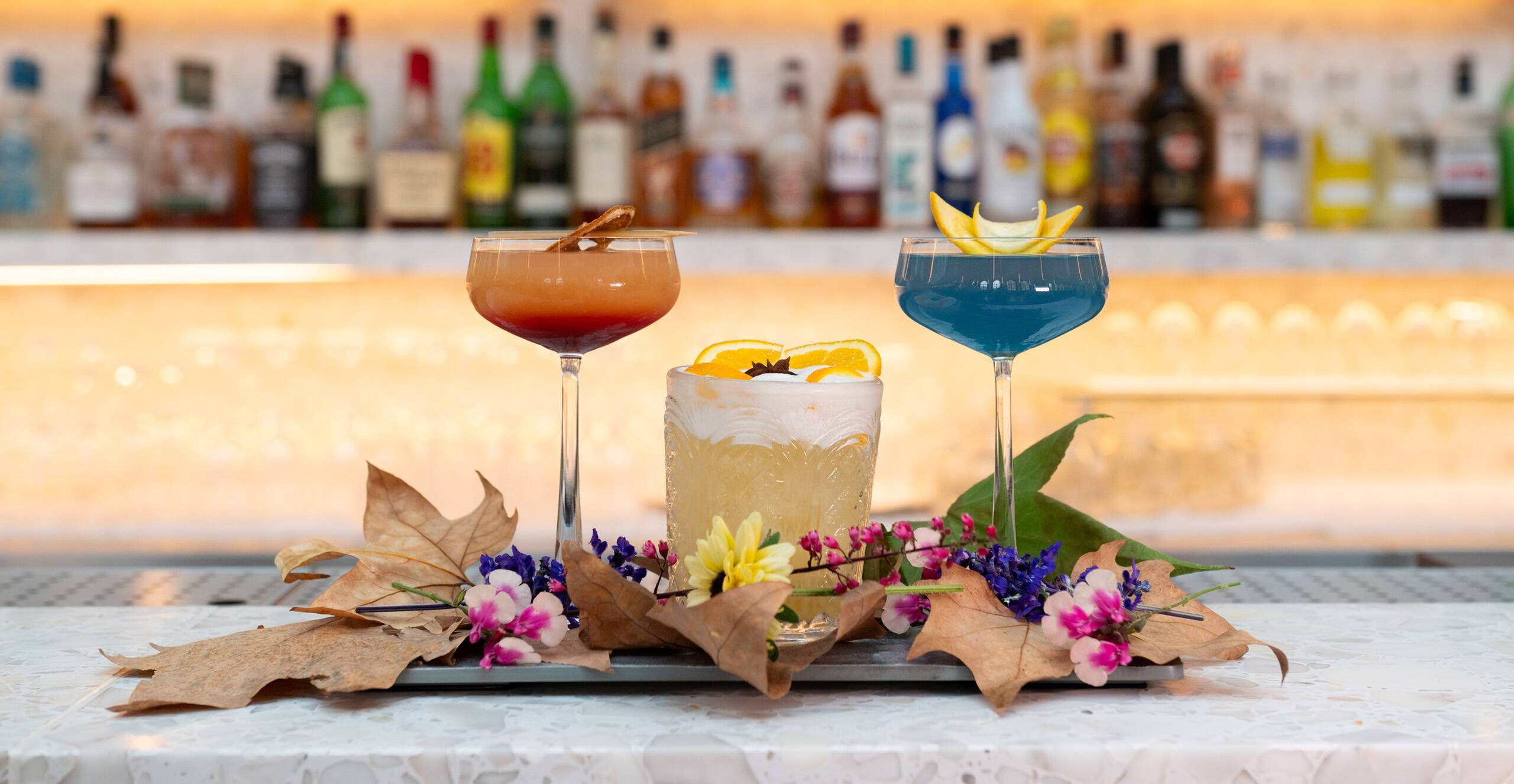 The V&A Members' Rooms · V&A